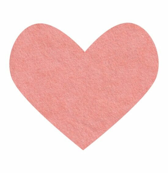 Georgia Peach Wool Felt – Delilah Iris Felt Crafts